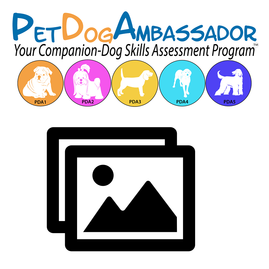 Renewing Your PDA License for the First Time - Pet Professional Guild