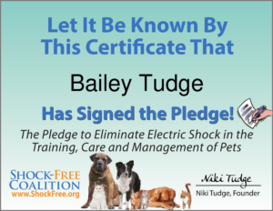 Your Pledge Certificate - Pet Professional Guild
