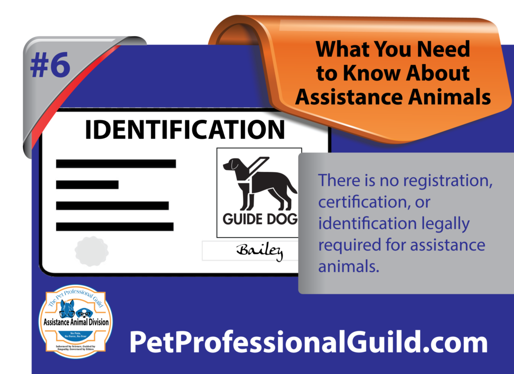 Social Media Campaign #6 Identification of assistance animals - Pet ...