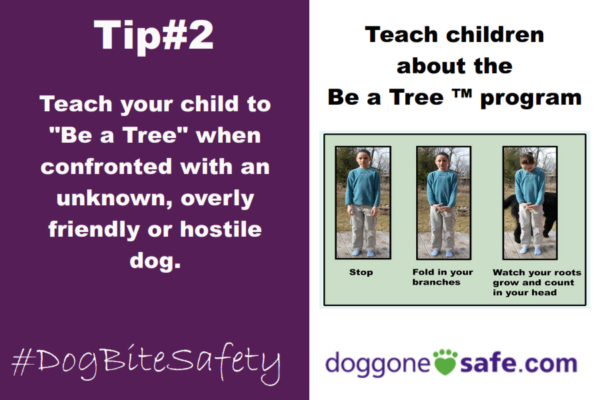 Dog Bite Safety Tip #2 Teach Kids To Be a Tree - Pet Professional Guild