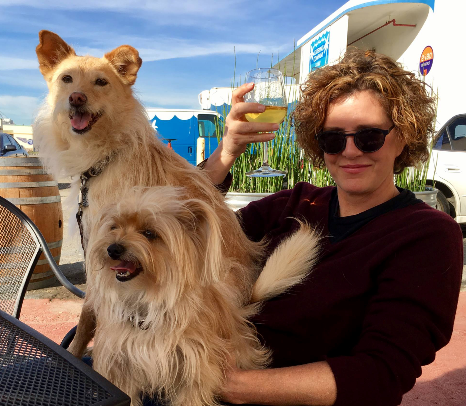 Calming The Storm: Relief for Stressed Out People and Their Pets with ...