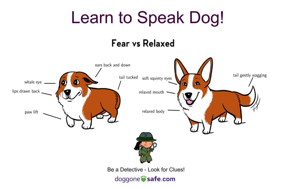 Be a Dog Detective - Fear versus Relaxed - Pet Professional Guild