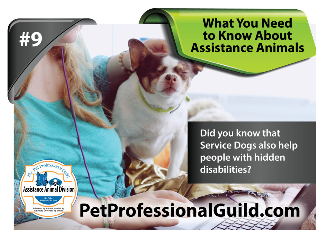 When Services Refuse Access to Assistance Dog Teams - Pet Professional ...