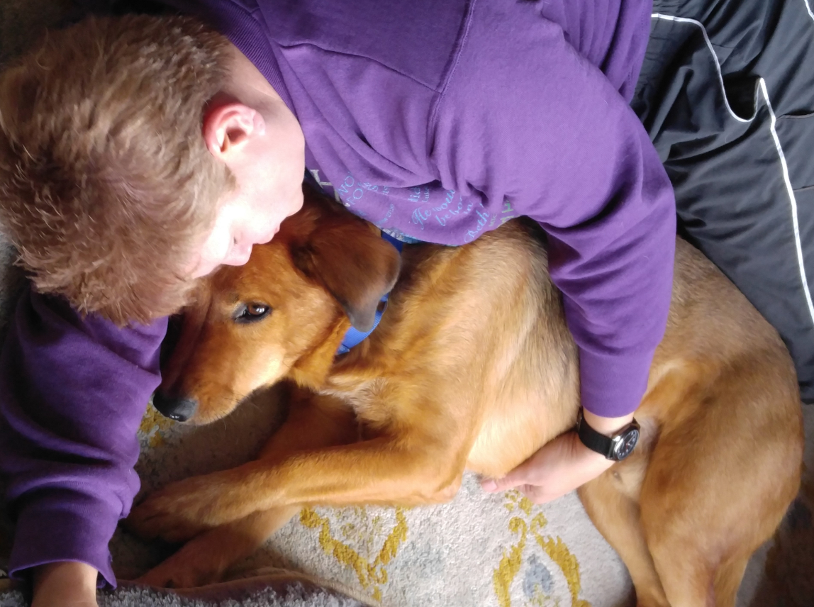 Phoenix Blog Competition: Blake's Story - Adopting a Prison Program Dog ...