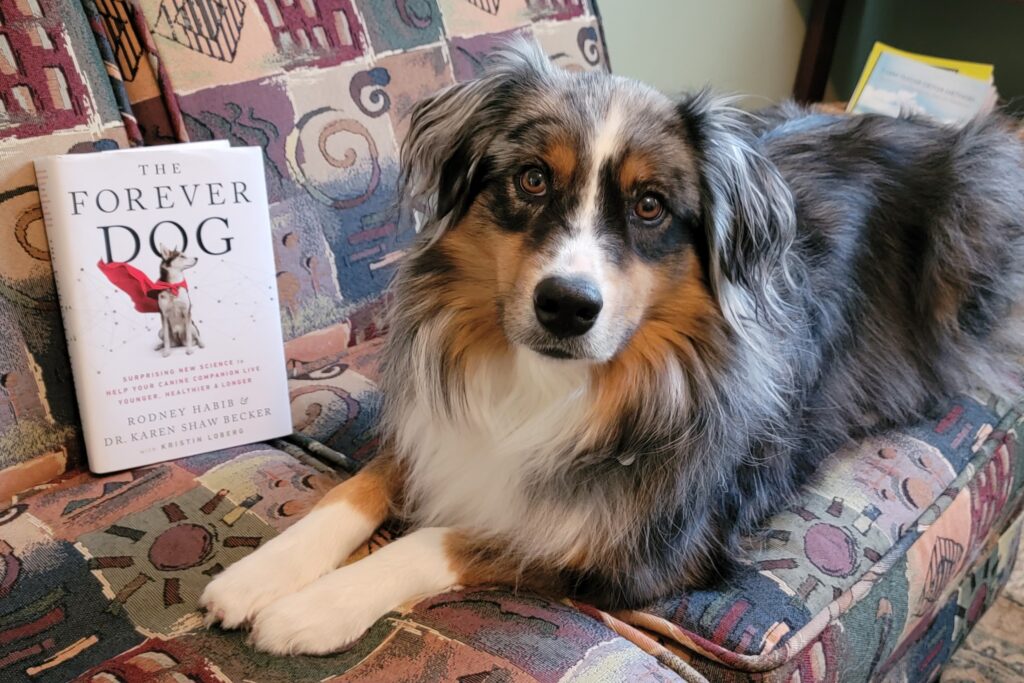 A Path to Your Pet's Health - Book Review of The Forever Dog - Pet ...