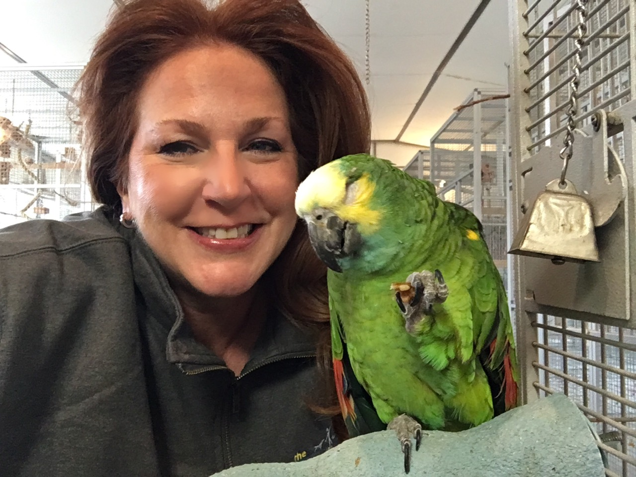 Sam, I Can - Pet Professional Guild