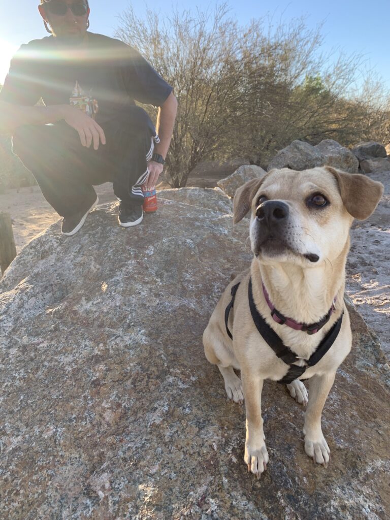 Nelly the Desert Dog: Once a Feral Night Roamer, Now a Super Trooper ...