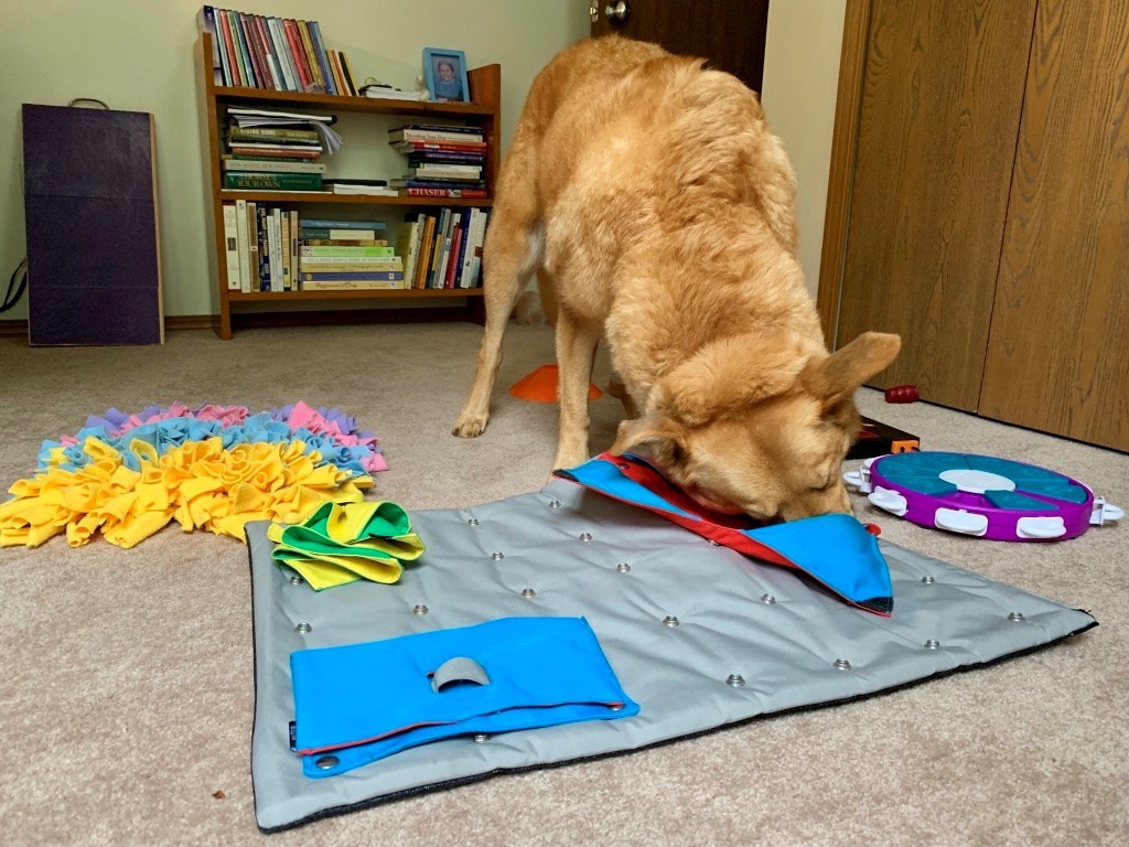 Portland Blog Competition: May I Speak to the Manager? - Pet ...