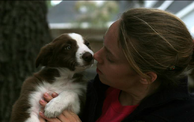 Behavior Modification — A Case Study of a "Difficult" Dog - Pet ...