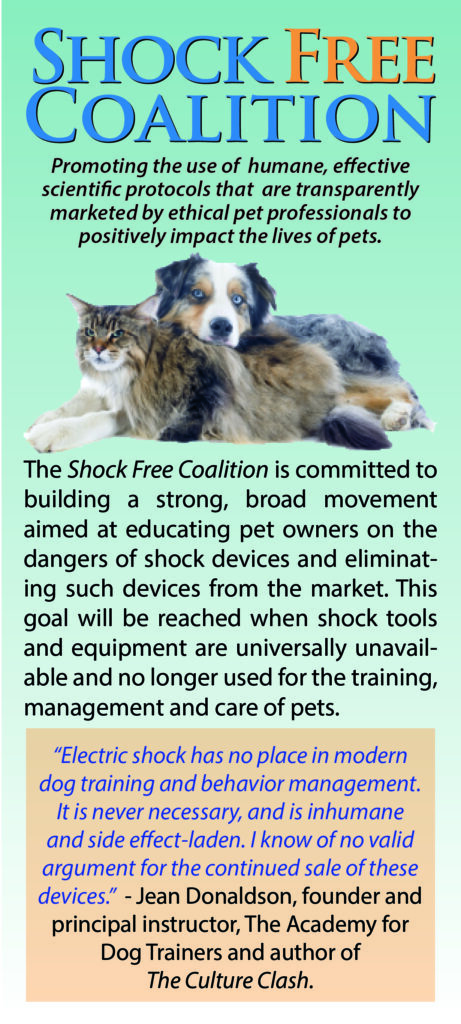 An Open Letter to Veterinarians on Referrals to Training and Behavior ...