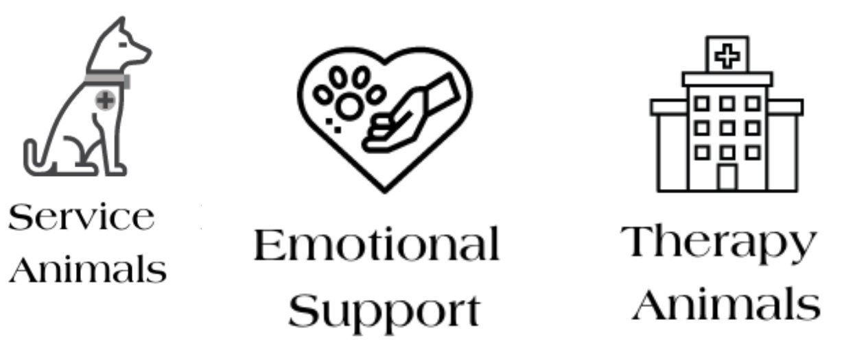 What Are Assistance Animals? - Pet Professional Guild