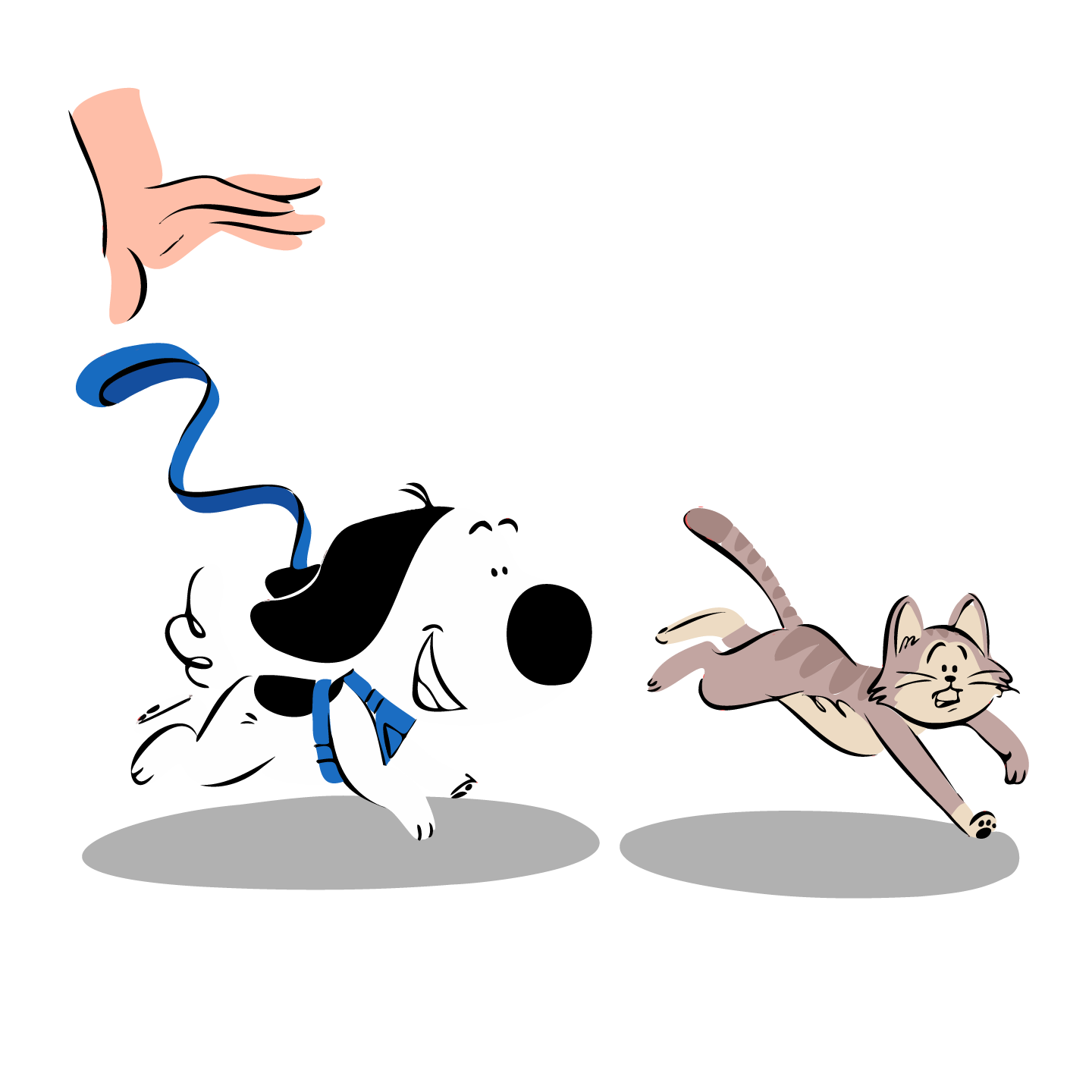 Starting Off on the Right Paw with New Pet Introductions - Pet ...