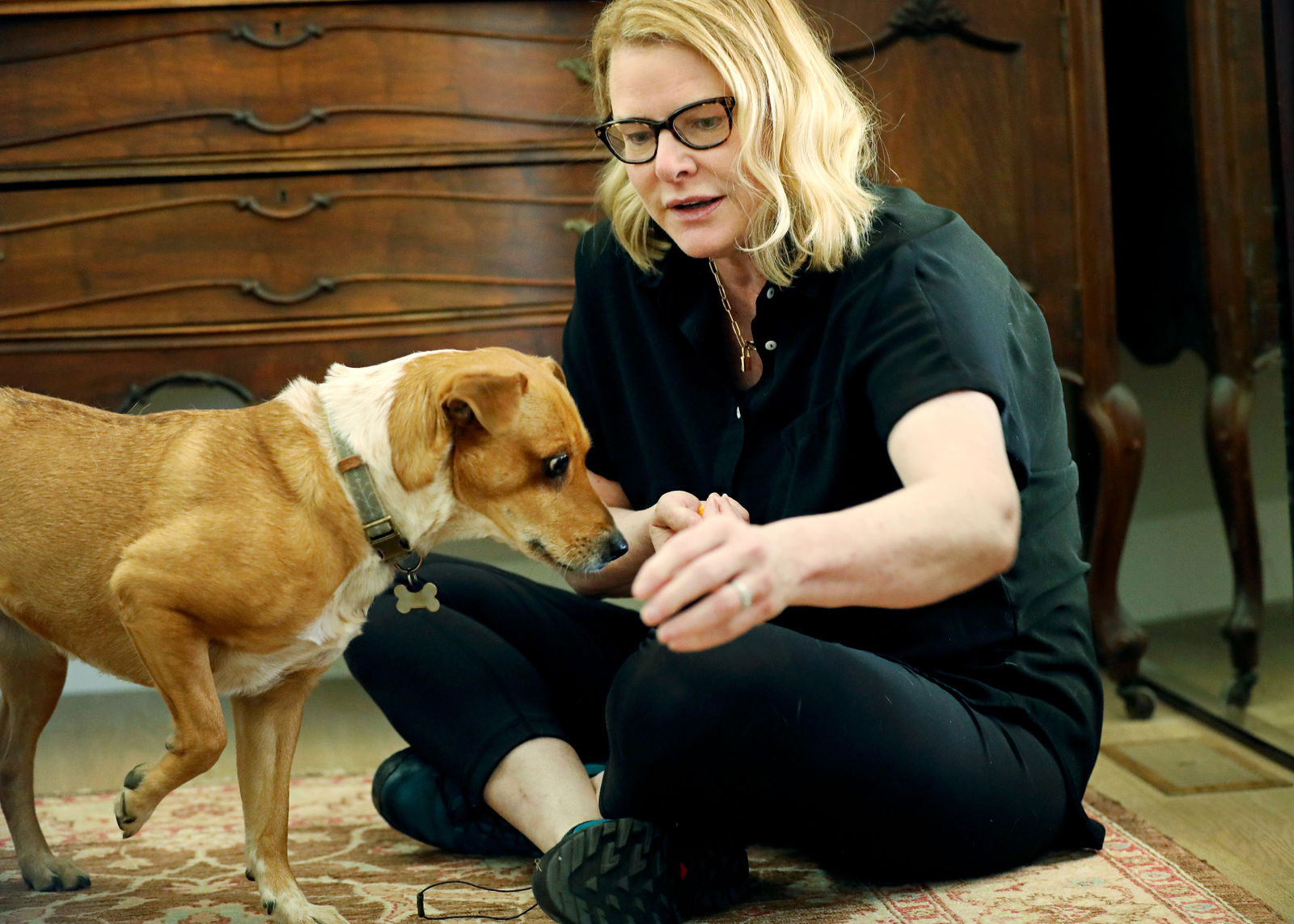 How Writing a Book on Canine Behavior Changed My Life - Pet ...
