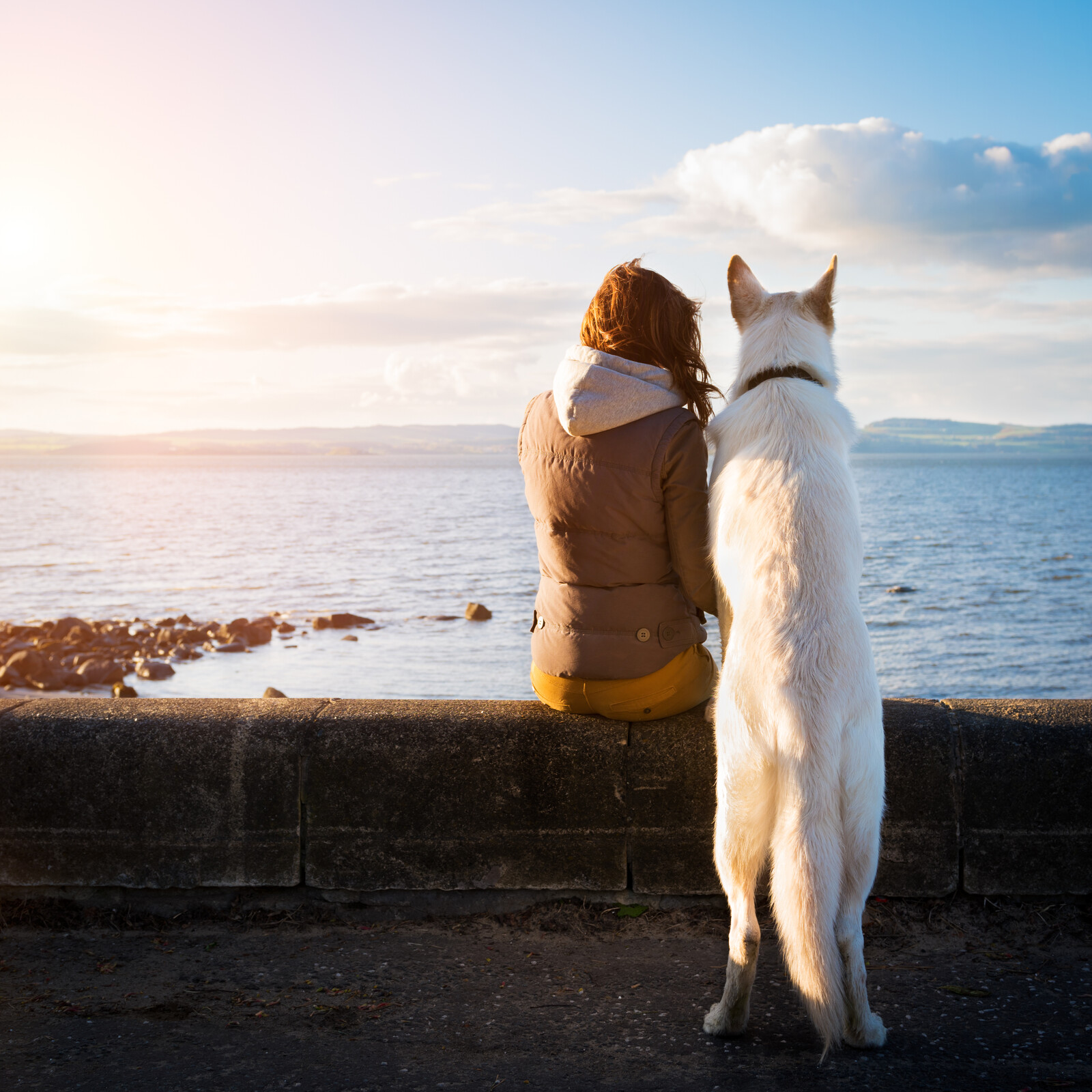 How to Be More in Tune with Your Dog - Pet Professional Guild