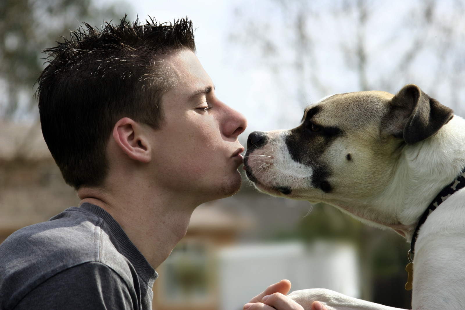 Human vs. Canine Behavior: A Brief Comparison - Pet Professional Guild