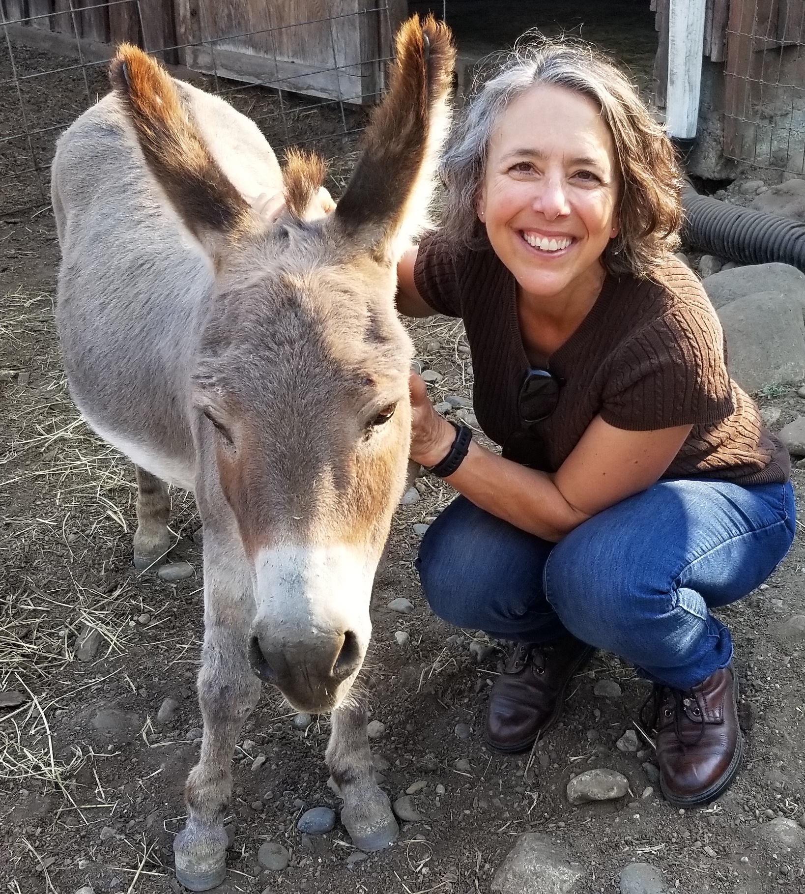 Changing Behavior by Arranging Antecedents with Kathy Sdao - Pet ...