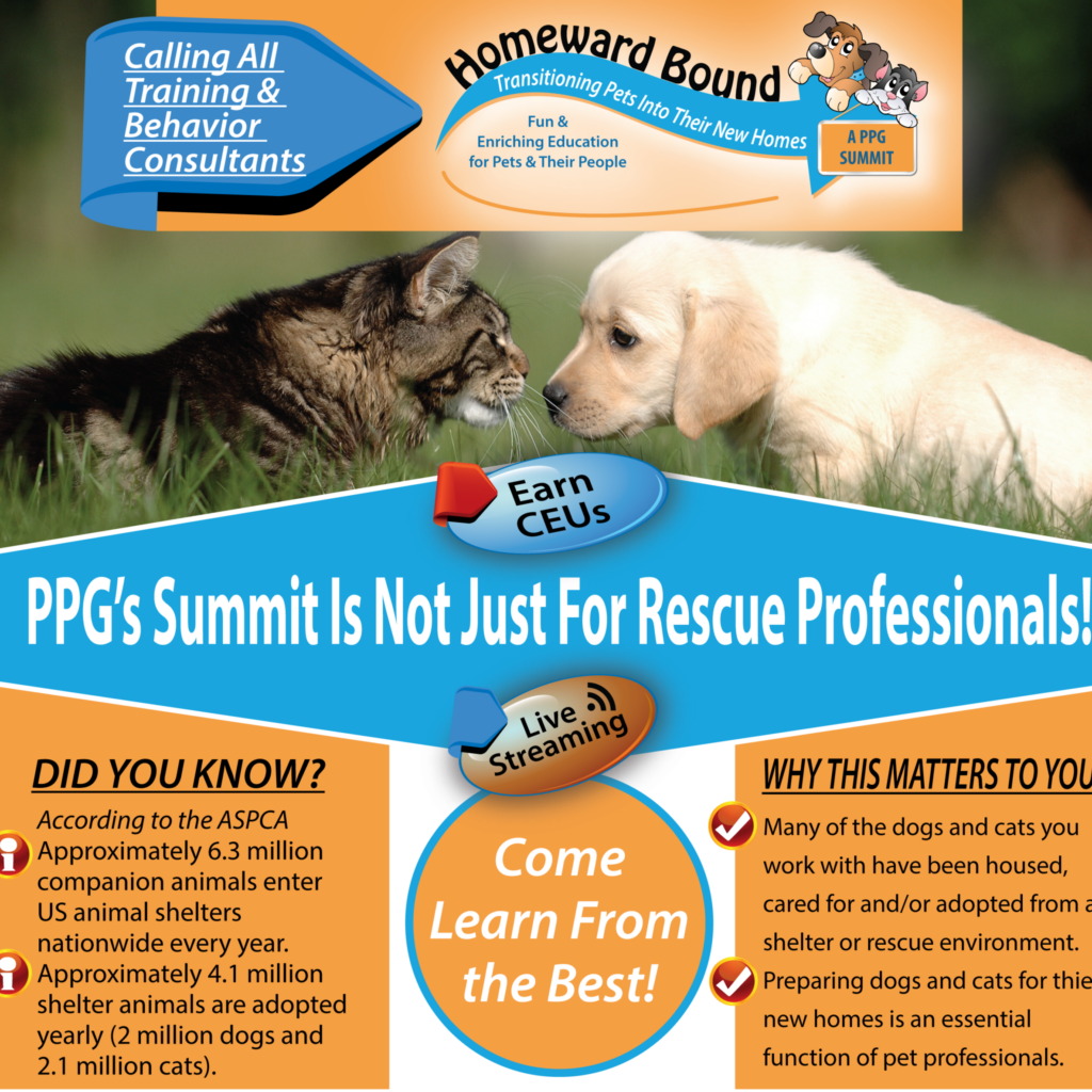 Becoming a Cat Person - Pet Professional Guild