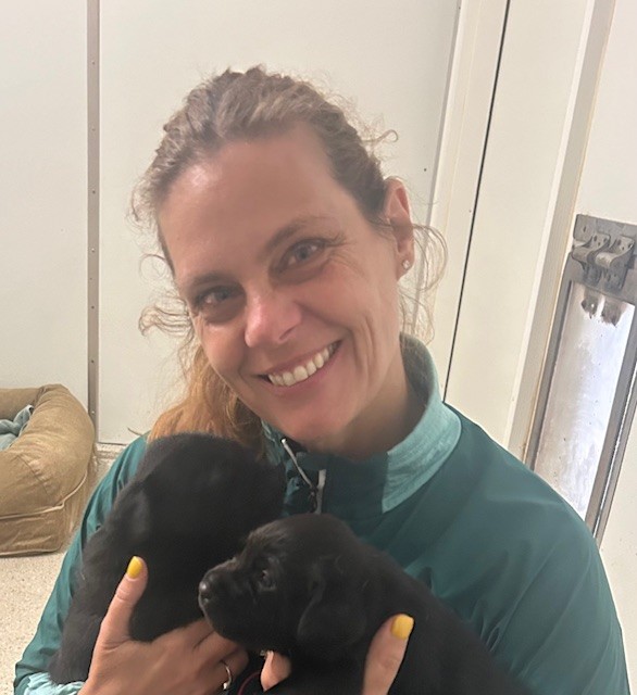 Successor Dogs, Retirement, and Career Changes: Supporting Service Dog ...